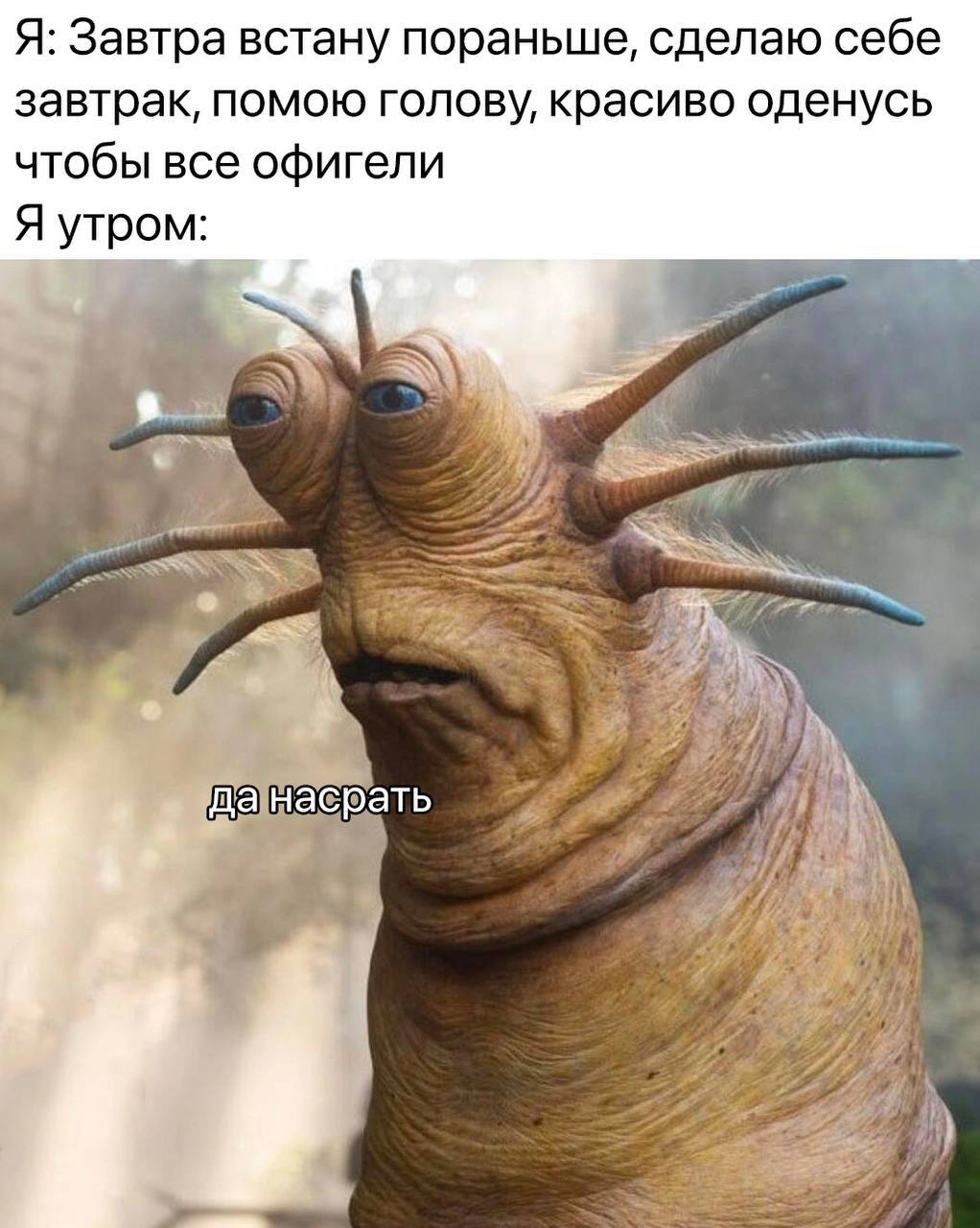 Я и так красивый Пикабу