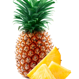 Yatt — все посты пользователя по времени