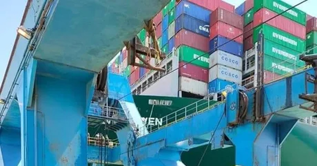 Запомните эти лица, они разблокировали EVERGIVEN | Пикабу