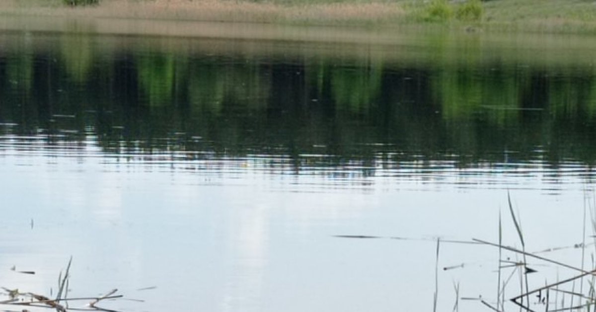 Ути пути | Пикабу