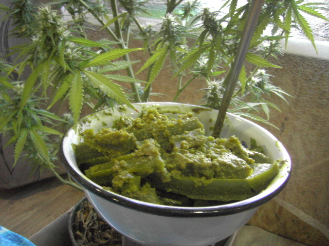 Весёлые печеньки... | Пикабу