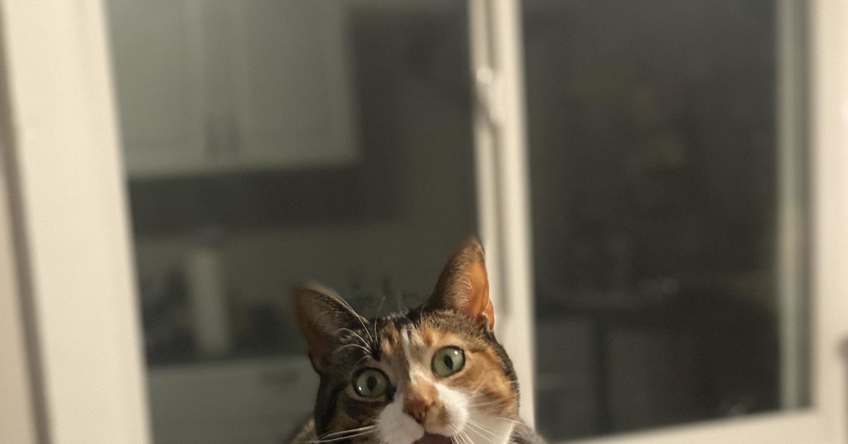 •Luke, i am your father •Nooooooo! | Пикабу