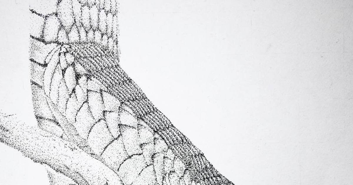 Snake dotwork | Пикабу