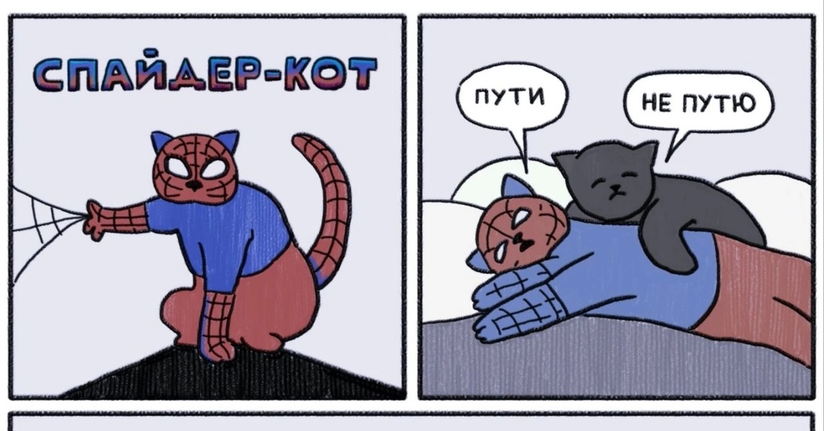 Спайдер котик | Пикабу