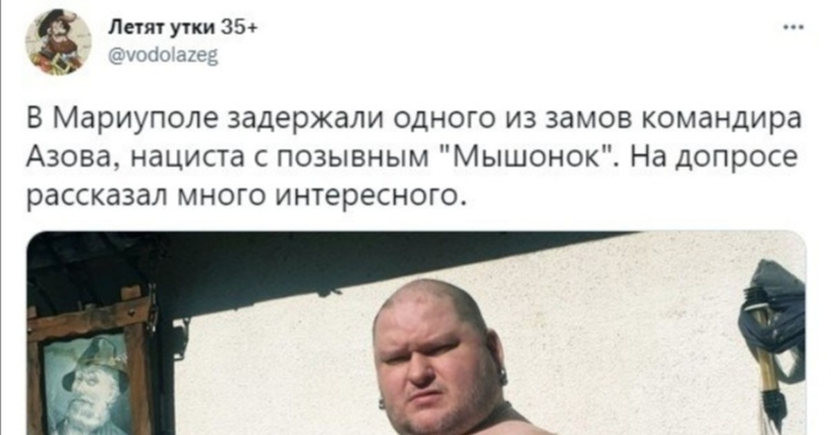 Мышонок | Пикабу