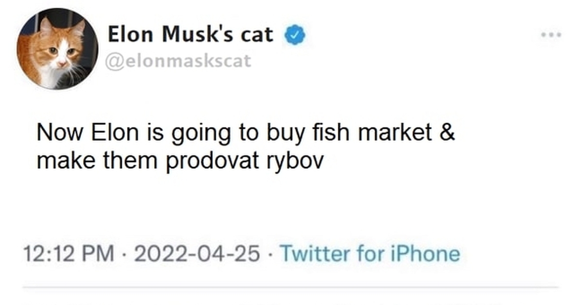 Go go Elon! | Пикабу