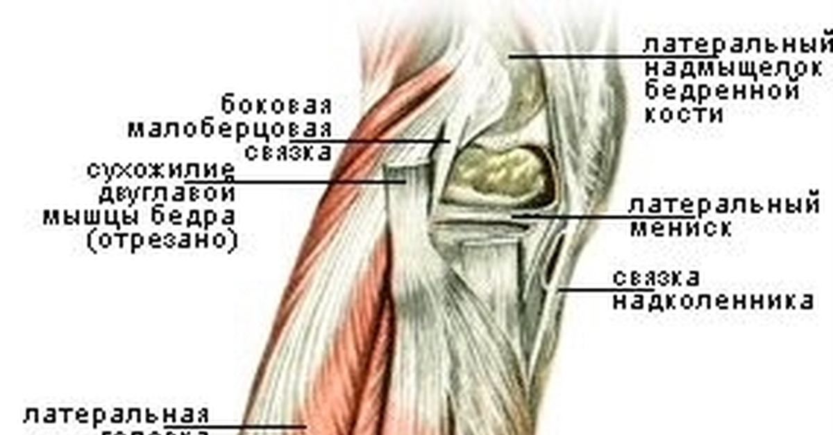 Восстановление седалищного нерва. Боль. Ад | Пикабу