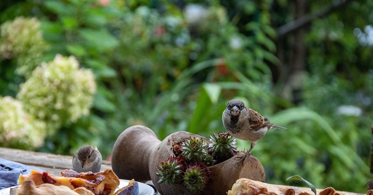 Помощники | Пикабу