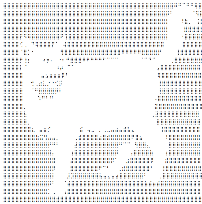 Матричный коте Пикабу