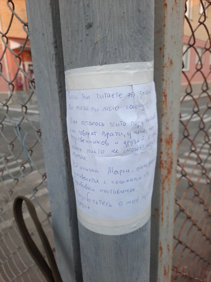 Чёрная собачка | Пикабу