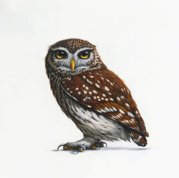 Vanessa Foley | Пикабу