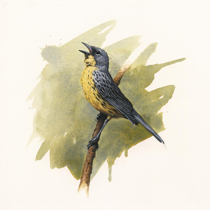 Vanessa Foley | Пикабу