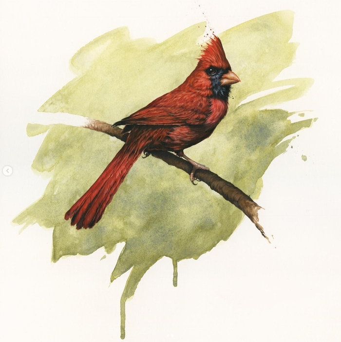 Vanessa Foley | Пикабу