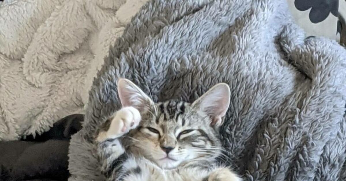 Yes, captain! | Пикабу