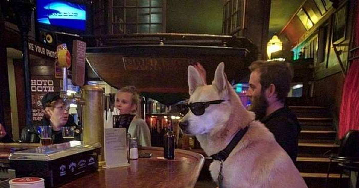 Про бары | Пикабу