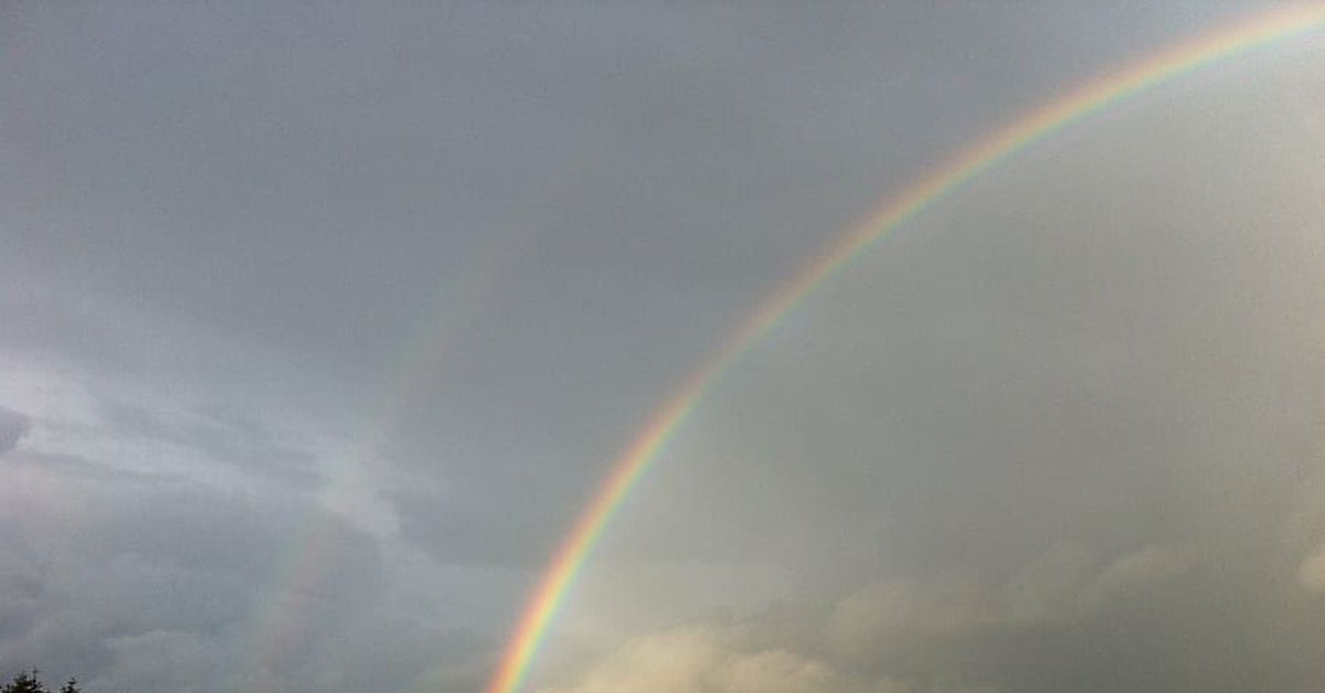 Rainbow - 11.01.23 18:36 | Пикабу