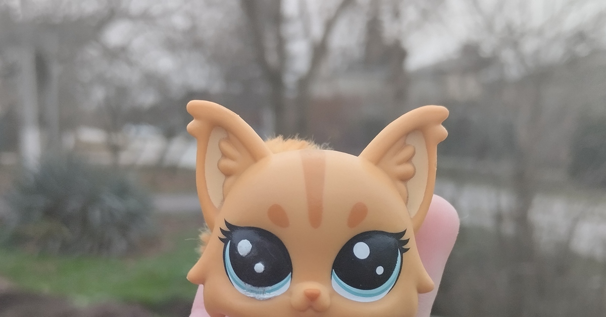 Обработка ЛПС Мейн-Кун/Processing LPS Maine-Coon/Мурка/Murka/Тайный мир ...