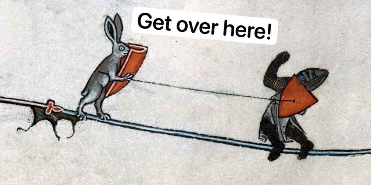 Rabbit wins | Пикабу