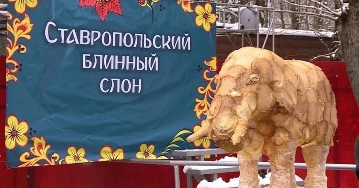 Как съесть слона! | Пикабу