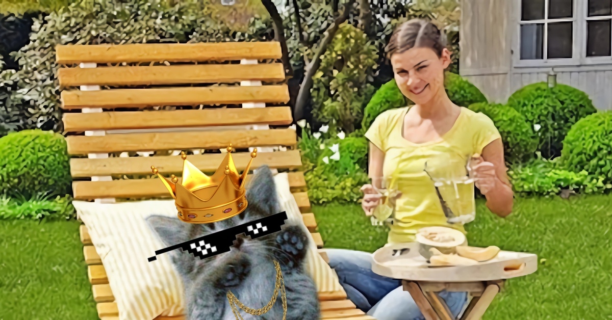Low cost Photoshop | Пикабу