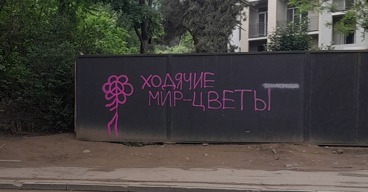 Всем мира Пикабу