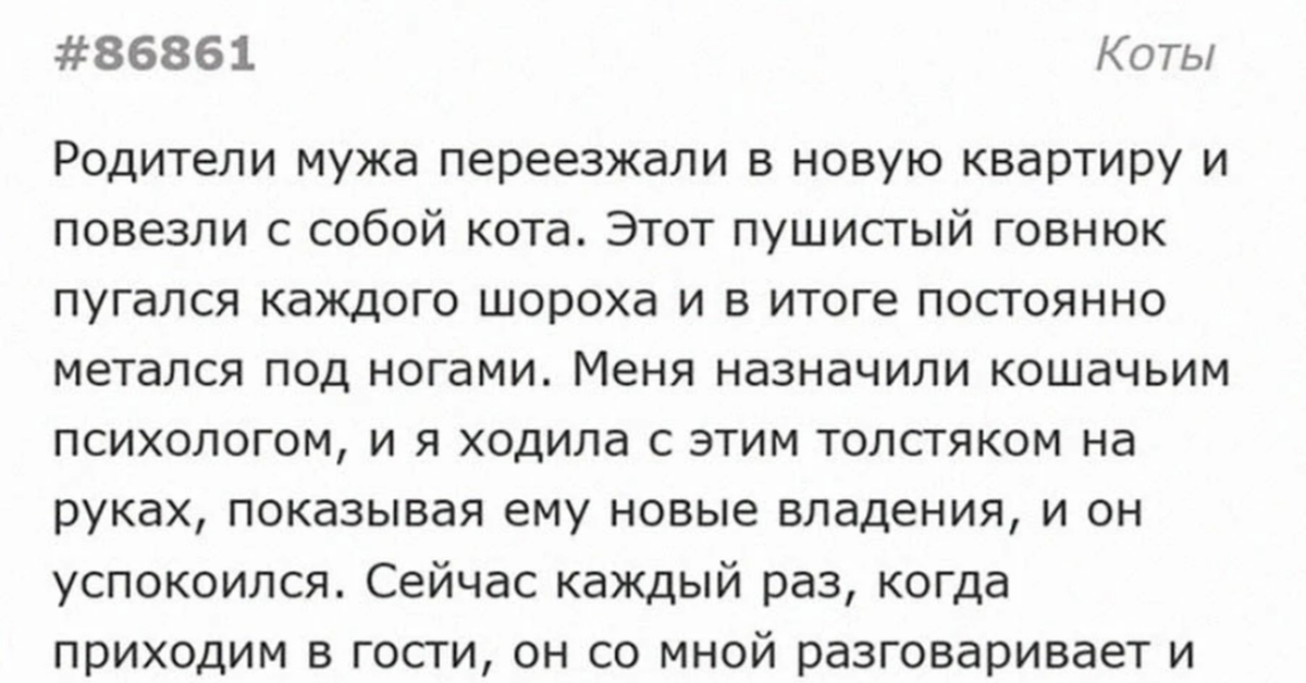 Кошачьи истории | Пикабу
