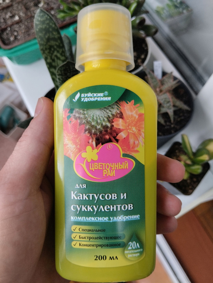 Удобрение кактусов и суккулентов | Пикабу