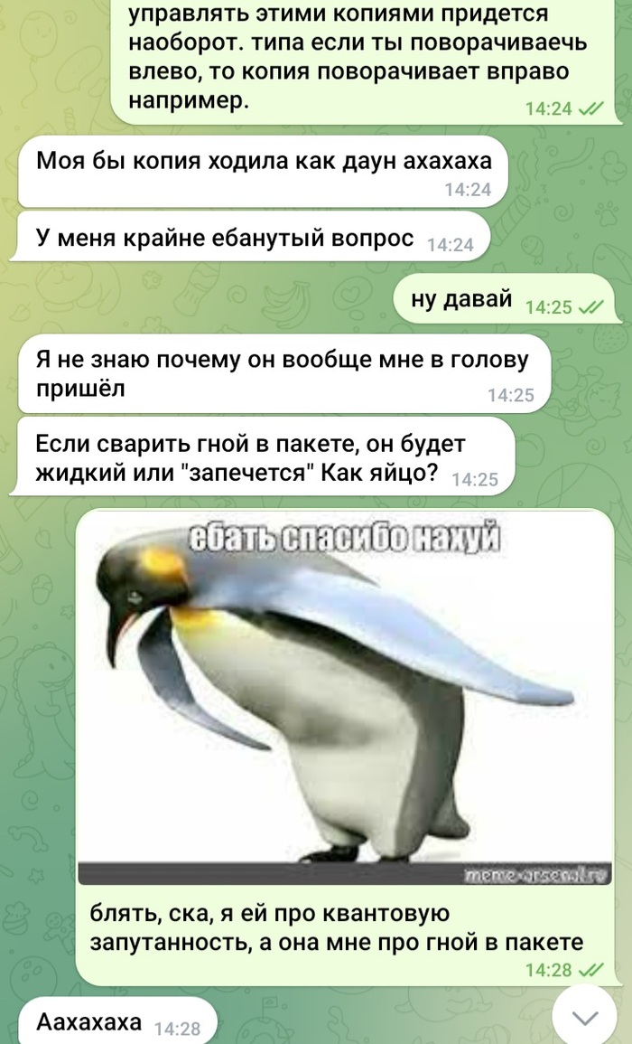 Про квантовую физику и гной в пакете | Пикабу