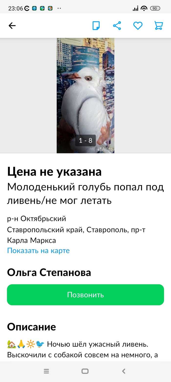 Авито | Пикабу