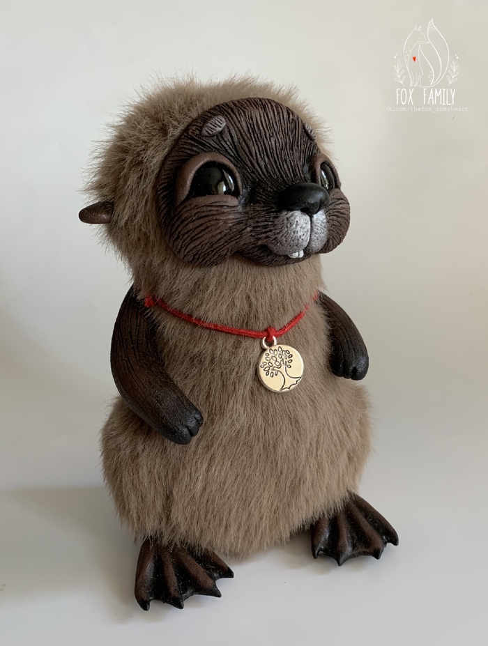 Бобр | Пикабу