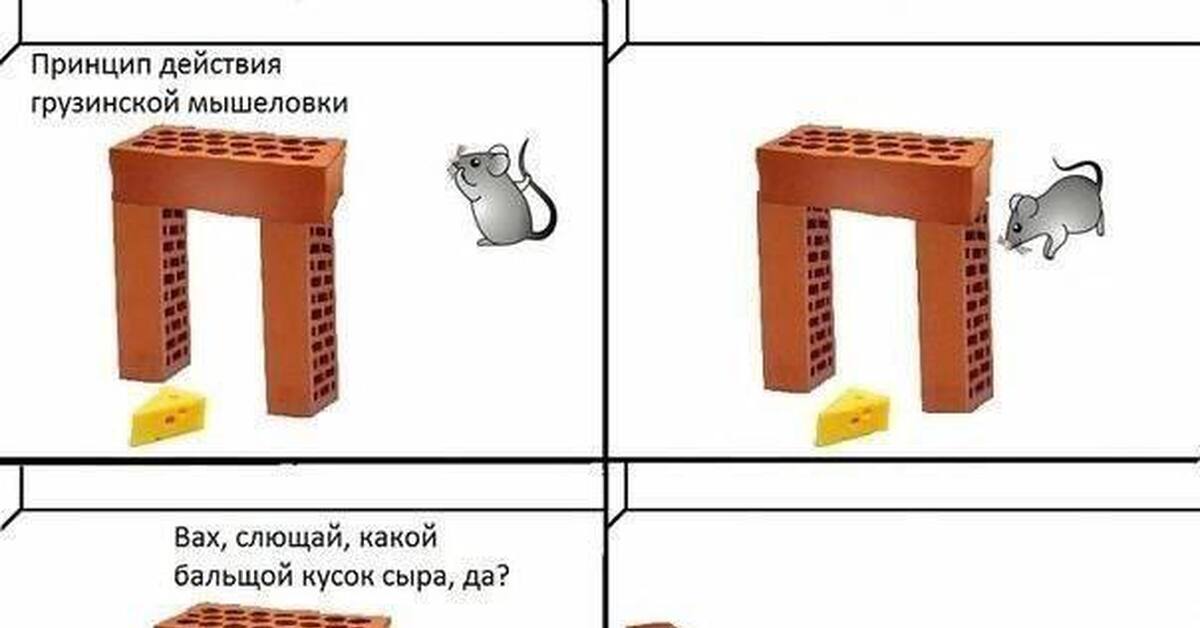 Грузинская мышеловка | Пикабу