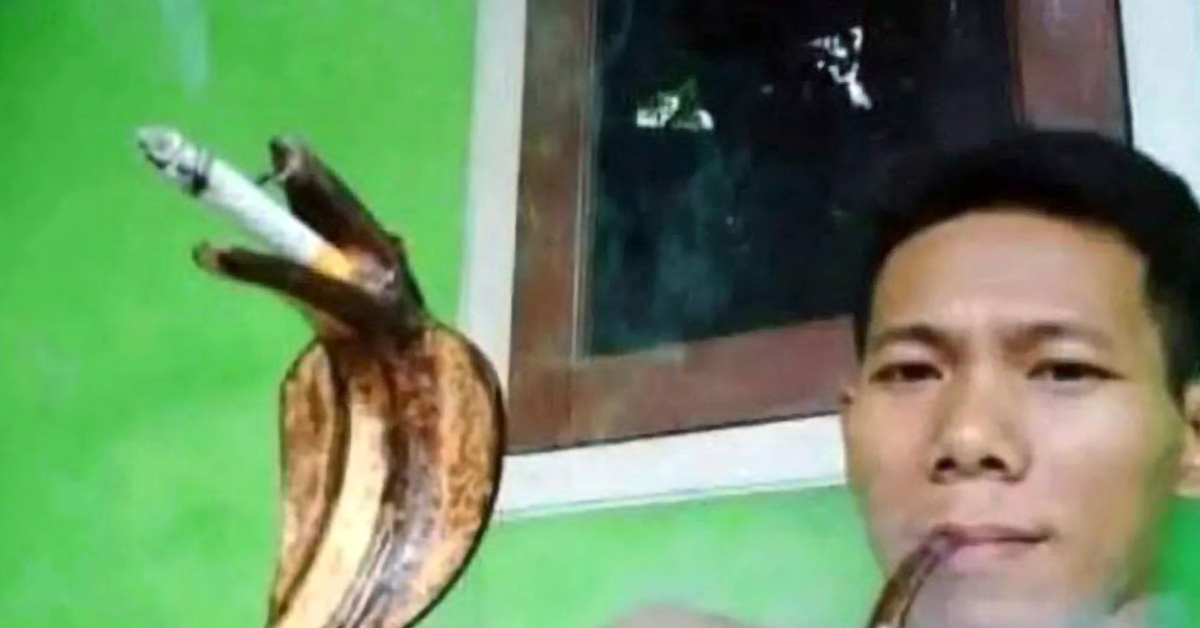 Cursed images RE#082 | Пикабу