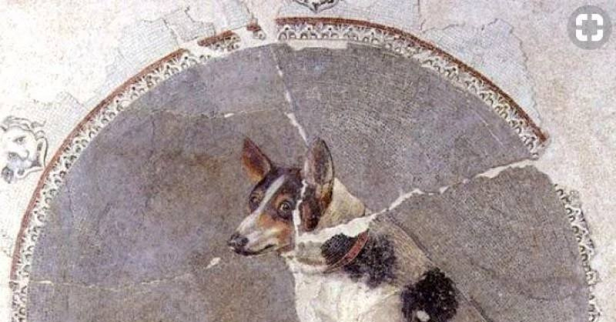 Древняя мозаика с собакой | Пикабу