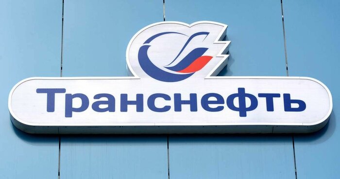 Акции российских компаний с дивидендной доходностью больше 8 в 2024