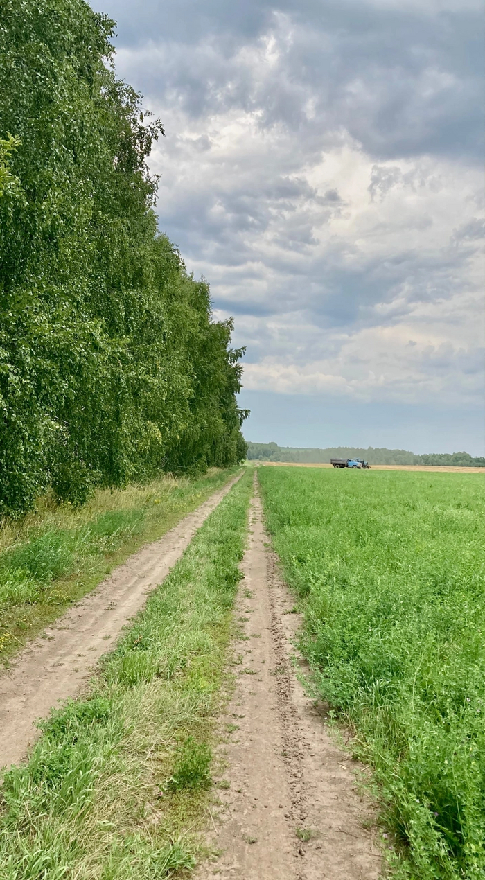 Мои фото природы Пикабу