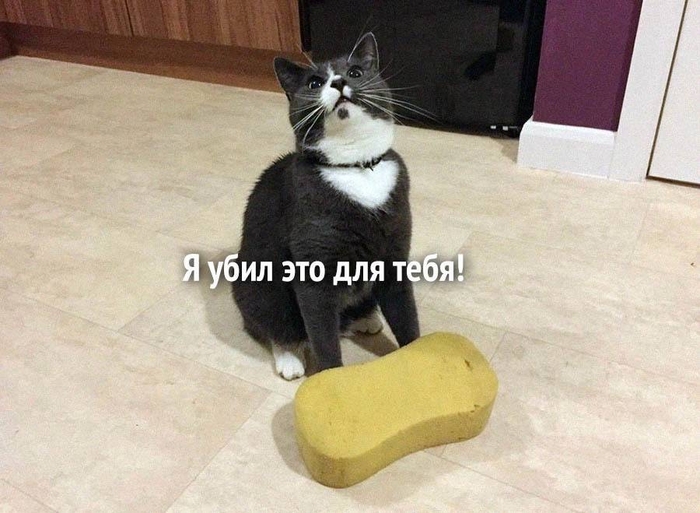 Молодец какой | Пикабу