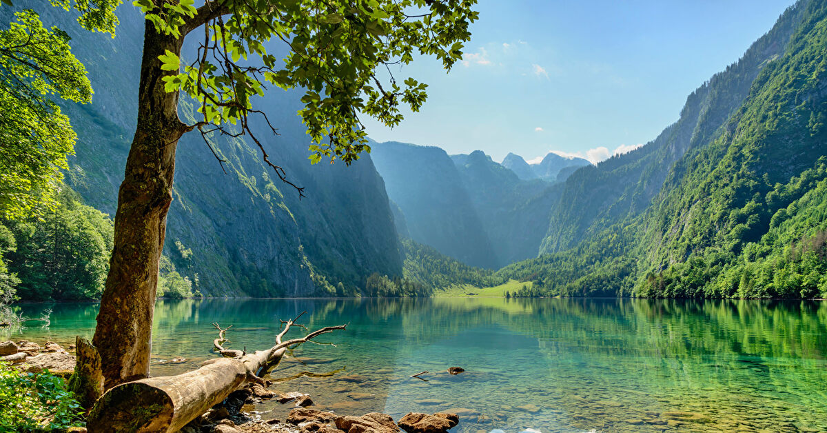 Красивая природа - 31.08.23 00:48 | Пикабу