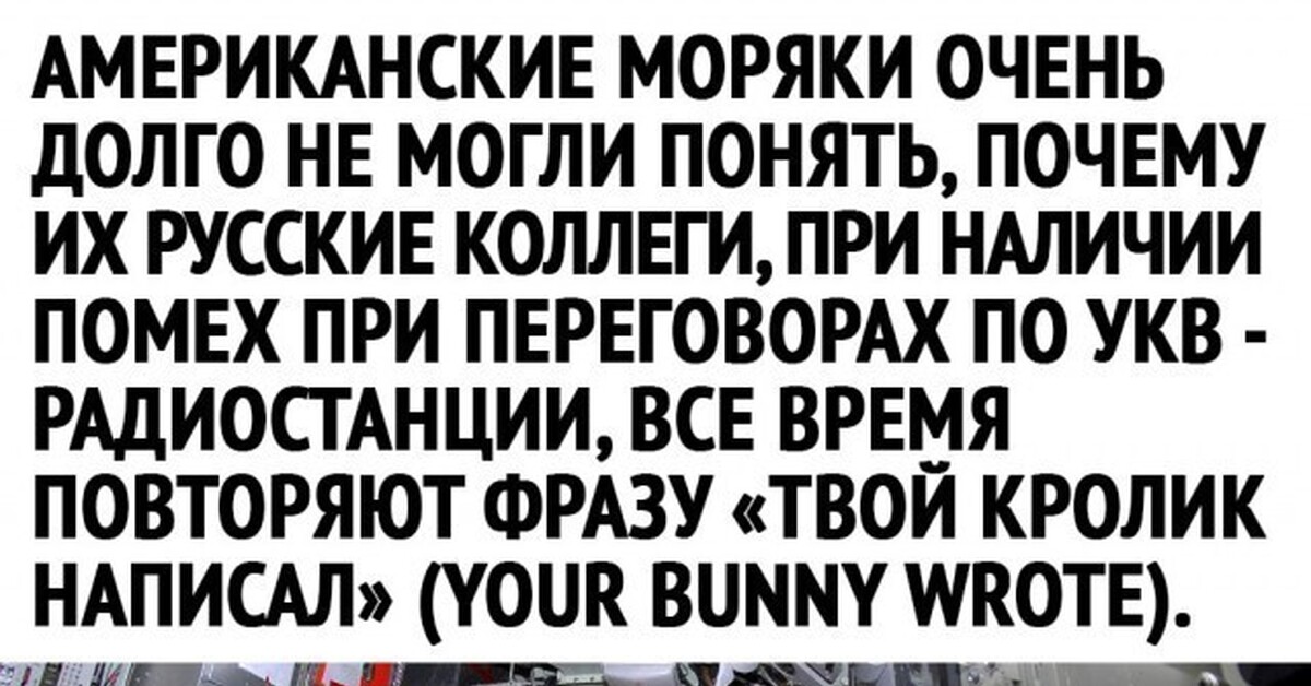 Your bunny wrote | Пикабу