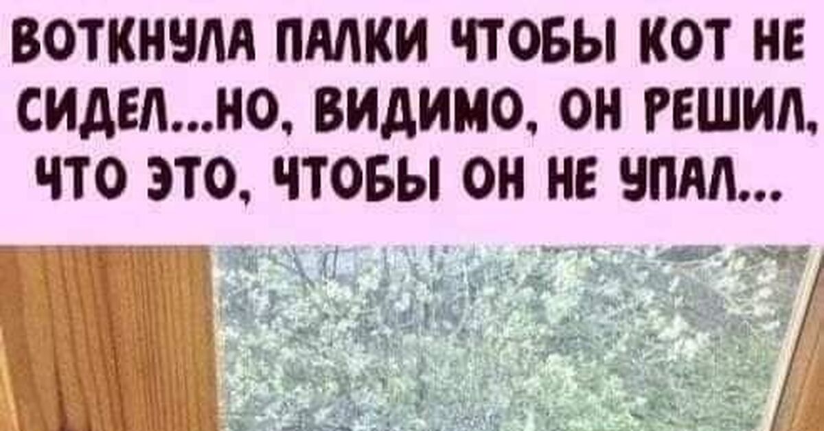 Подставка для кота | Пикабу