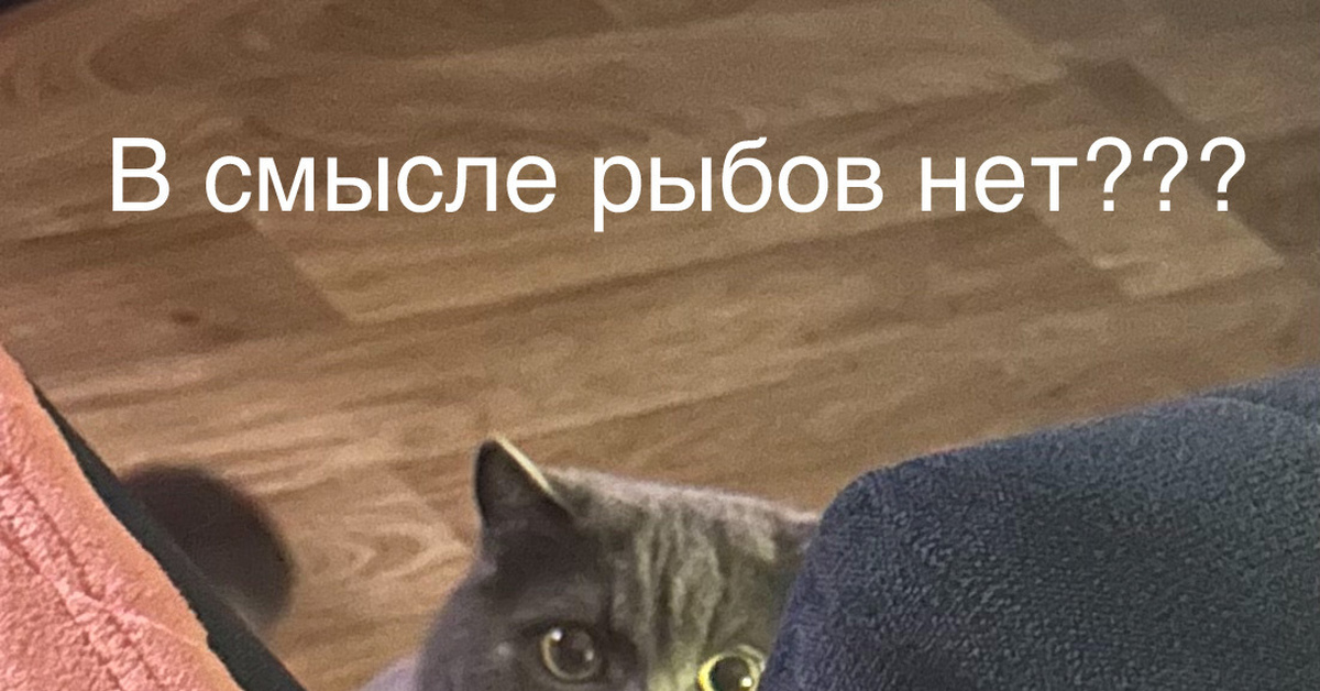 В смысле рыбов нет??? | Пикабу