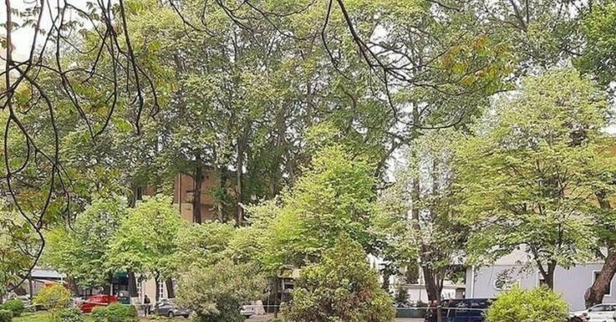 Новое слово в мостостроении Пикабу