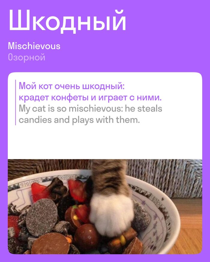 7 русских слов у которых нет прямого перевода на английский язык Пикабу