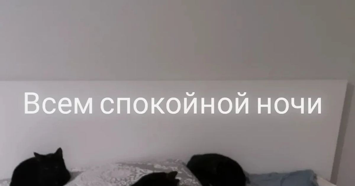 Спокойной ночи | Пикабу