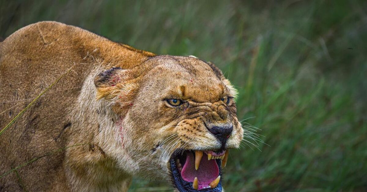 Рррр-р - 07.11.23 10:02 | Пикабу