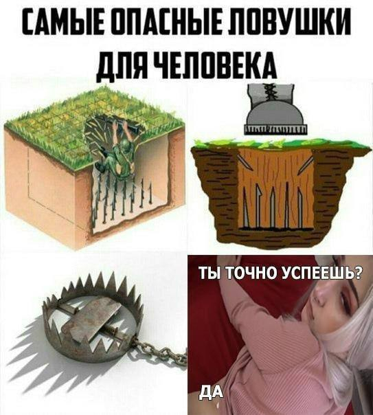 Ловушки | Пикабу