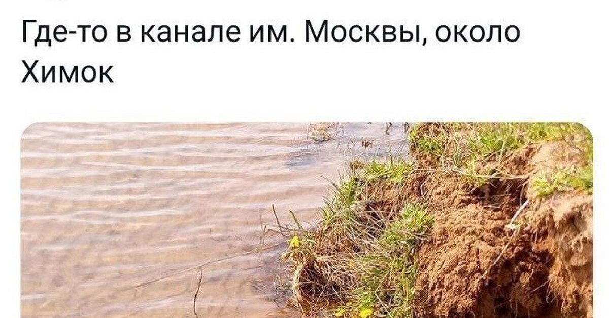 Бедняга Бендер | Пикабу