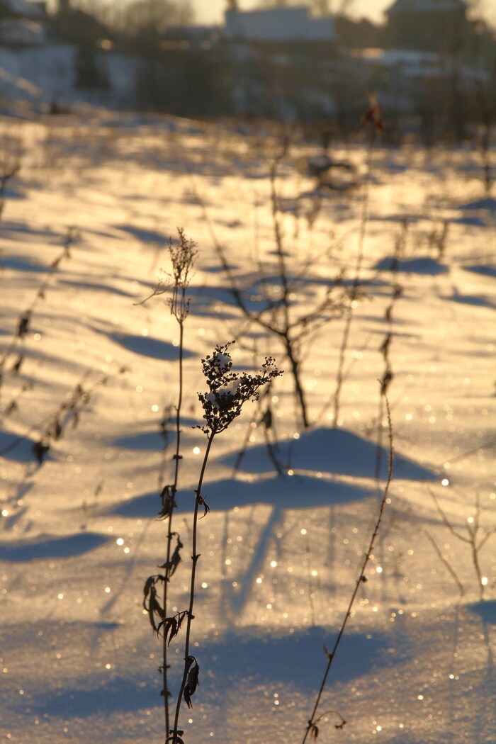 Два дня, такие разные... | Пикабу