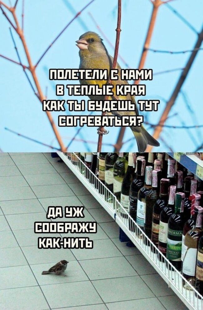 Сугрев | Пикабу