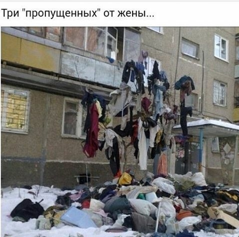 Три | Пикабу