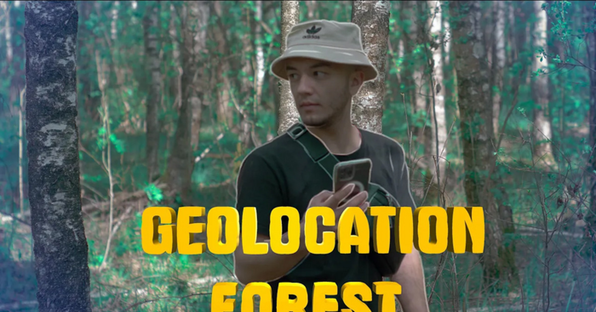 GEOLOCATION FOREST | Пикабу